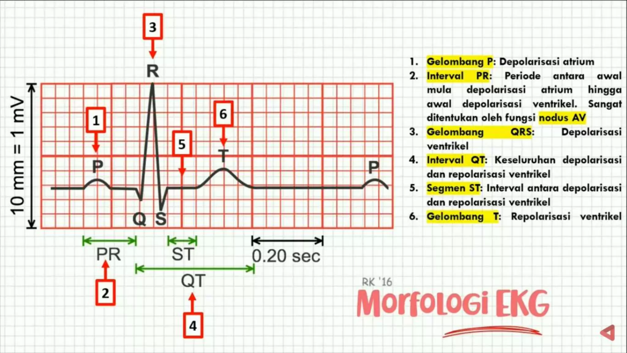 EKG part 1.pptx
