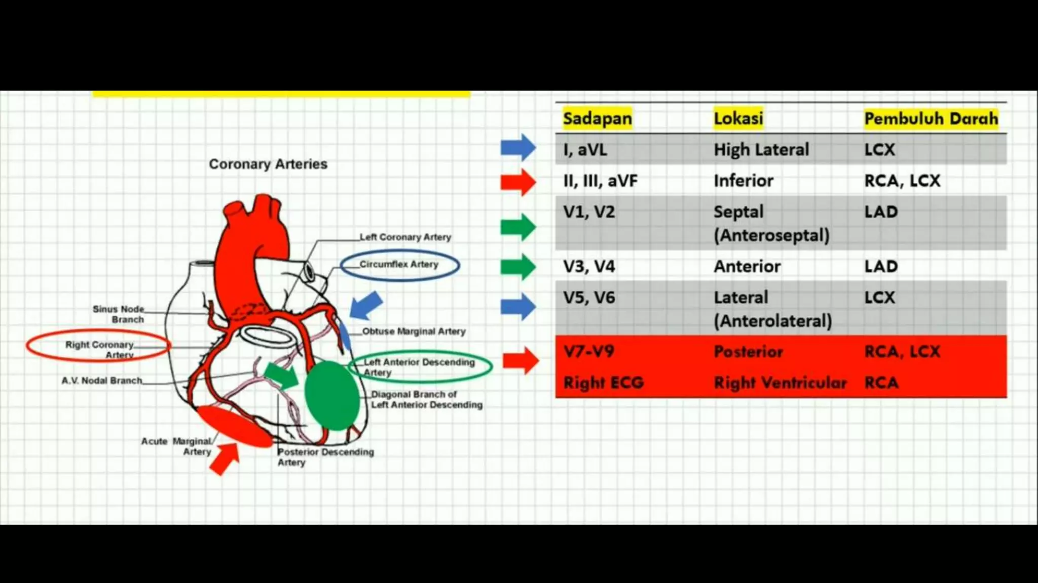 EKG part 1.pptx