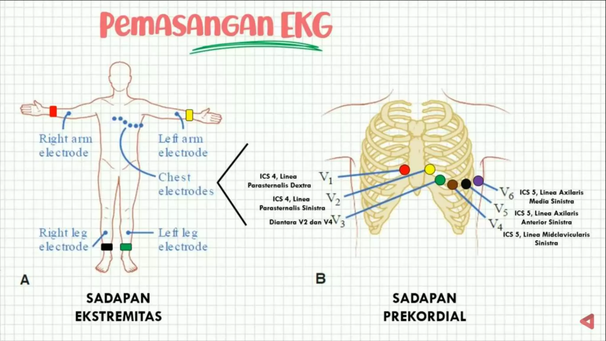 EKG part 1.pptx