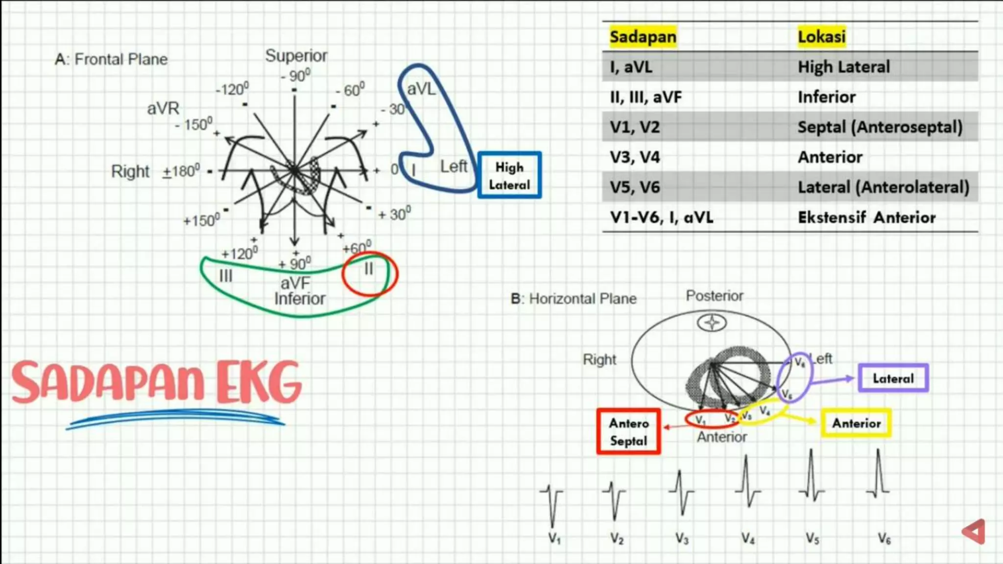 EKG part 1.pptx