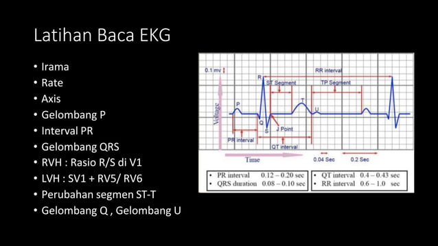 EKG part 1.pptx