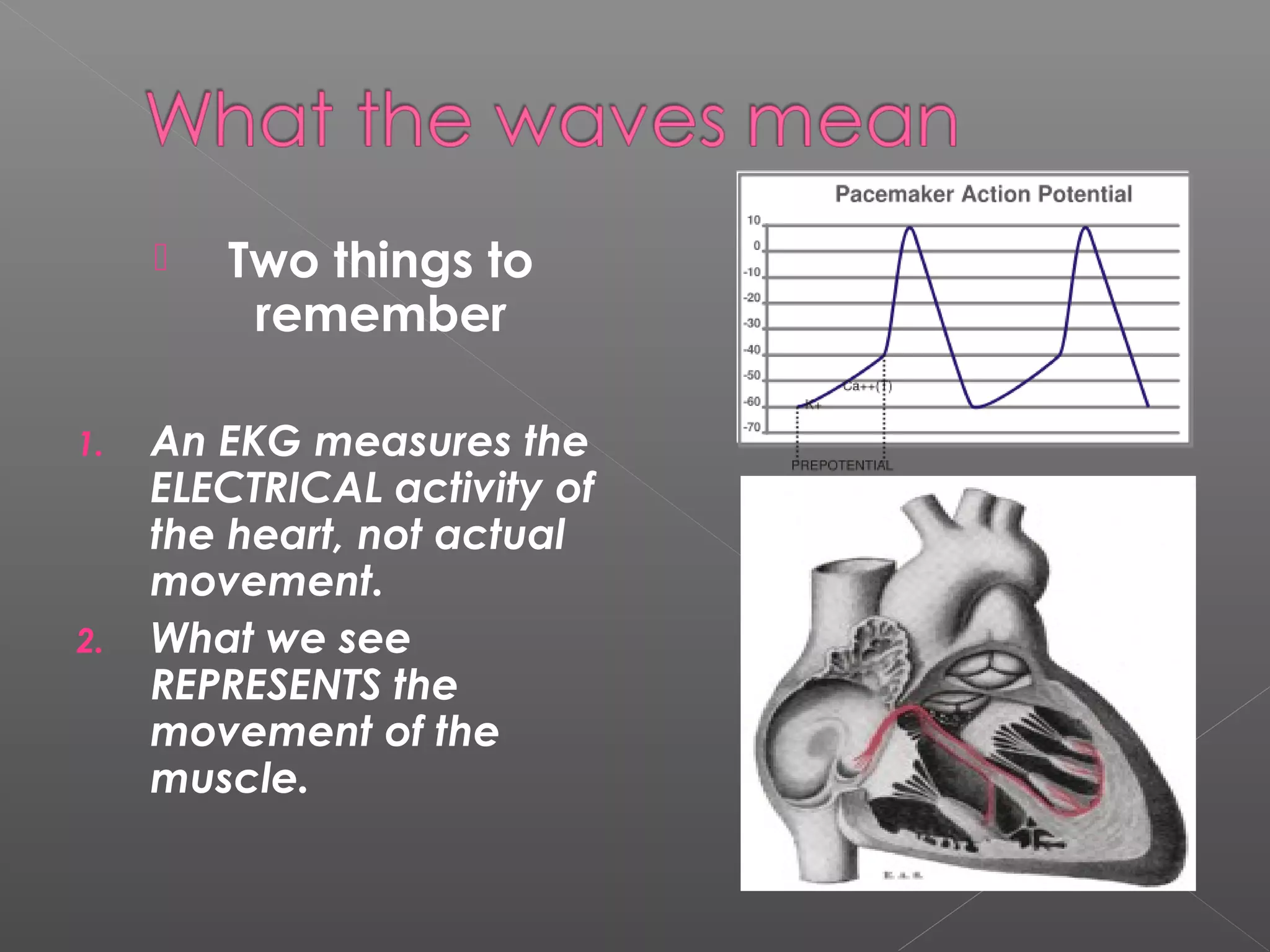Ekg presentation | PPT