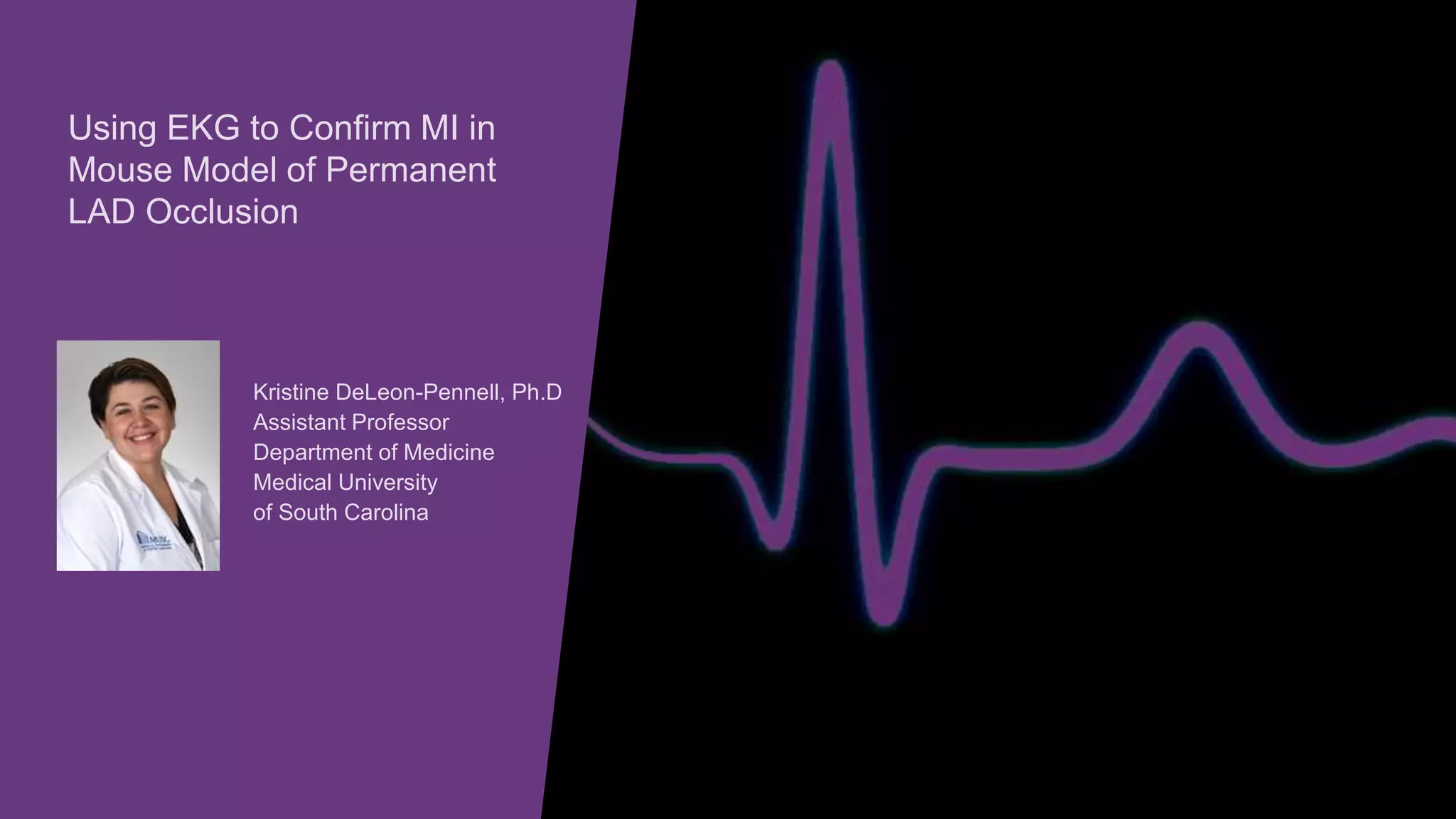 Using EKG to Confirm MI in Mouse Model of Permanent LAD Occlusion | PPTX