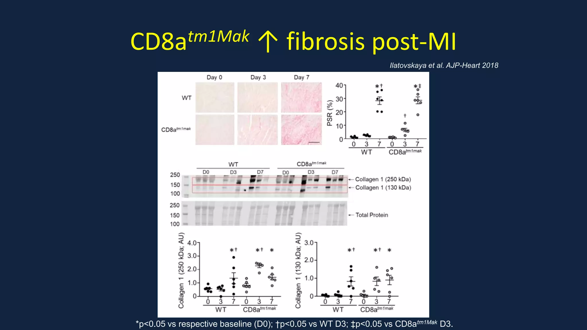 Using EKG to Confirm MI in Mouse Model of Permanent LAD Occlusion | PPTX