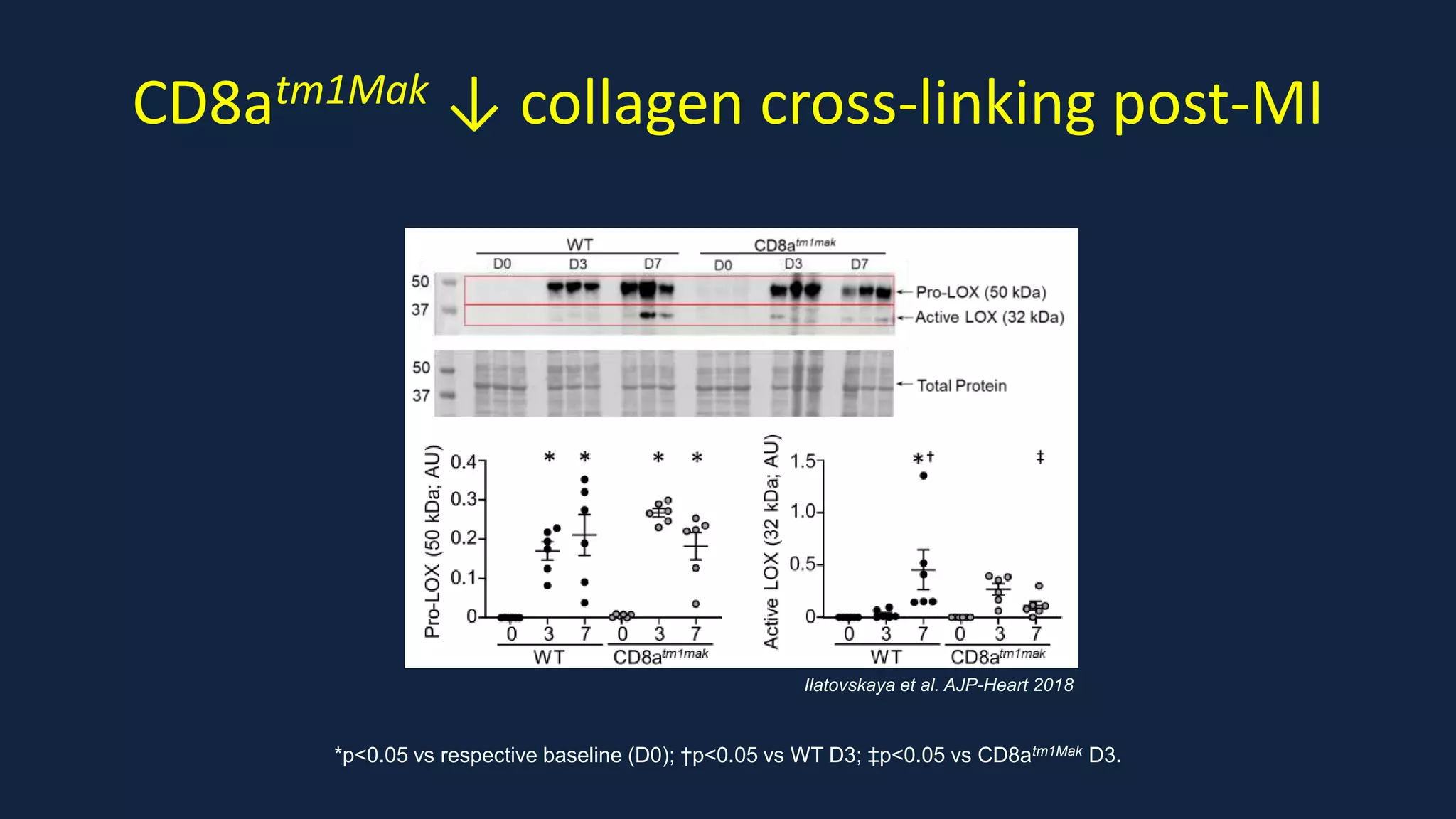 Using EKG to Confirm MI in Mouse Model of Permanent LAD Occlusion | PPTX