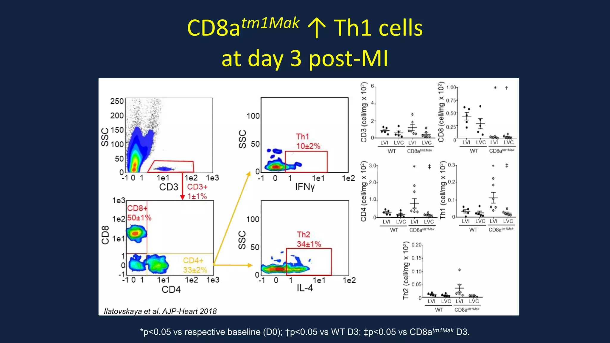 Using EKG to Confirm MI in Mouse Model of Permanent LAD Occlusion | PPTX