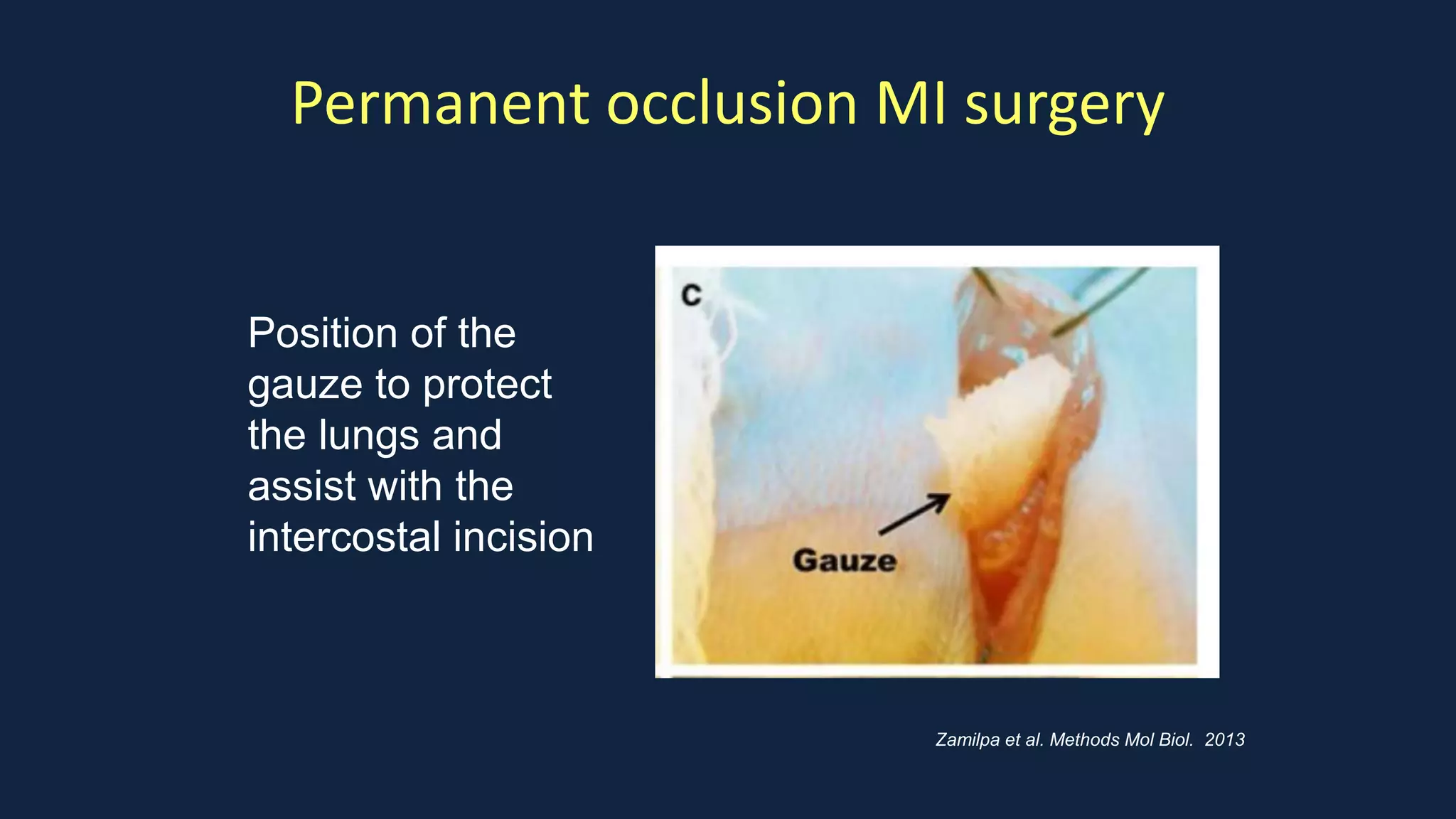 Using EKG to Confirm MI in Mouse Model of Permanent LAD Occlusion | PPTX