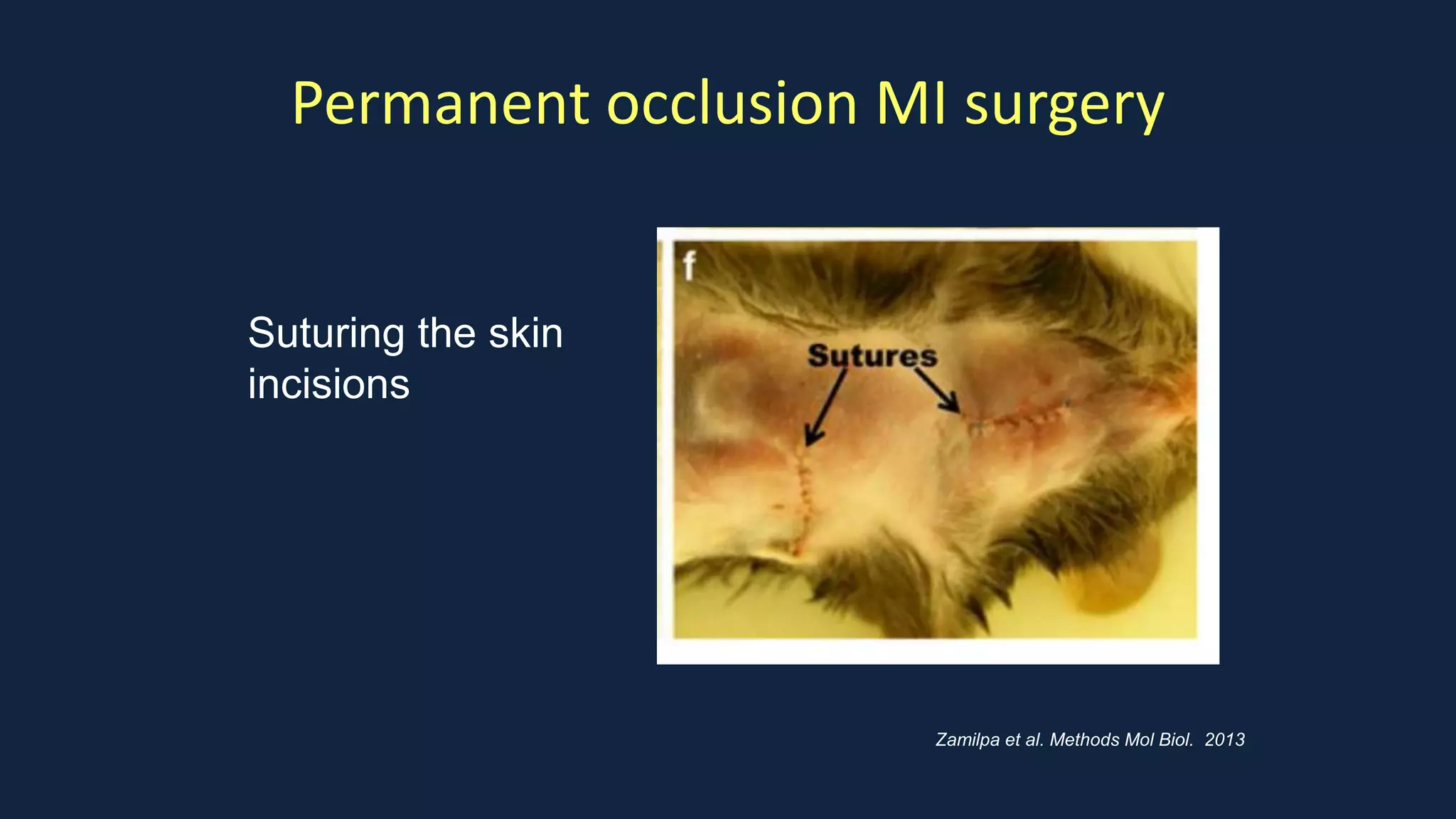 Using EKG to Confirm MI in Mouse Model of Permanent LAD Occlusion | PPTX