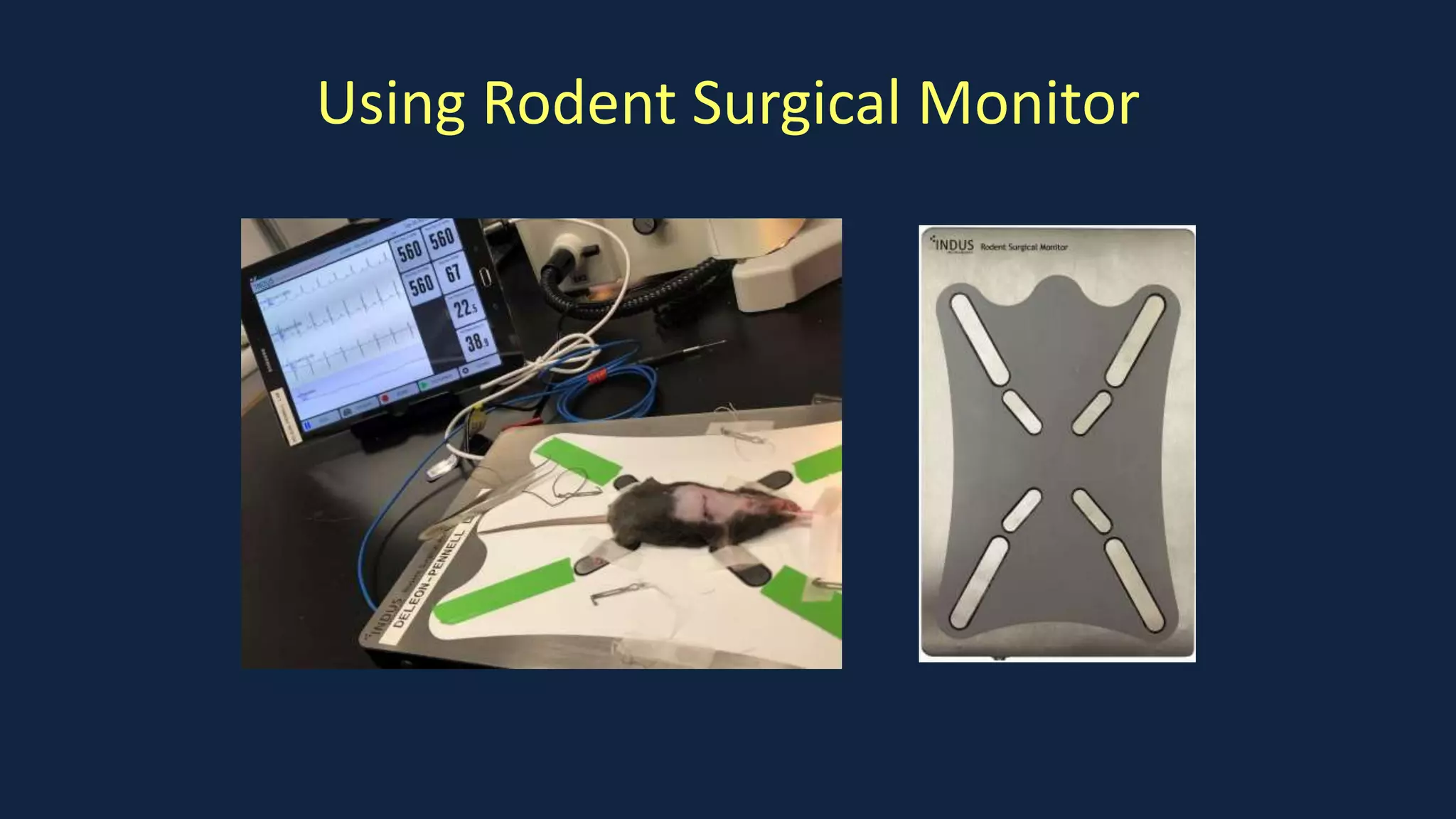 Using EKG to Confirm MI in Mouse Model of Permanent LAD Occlusion | PPTX