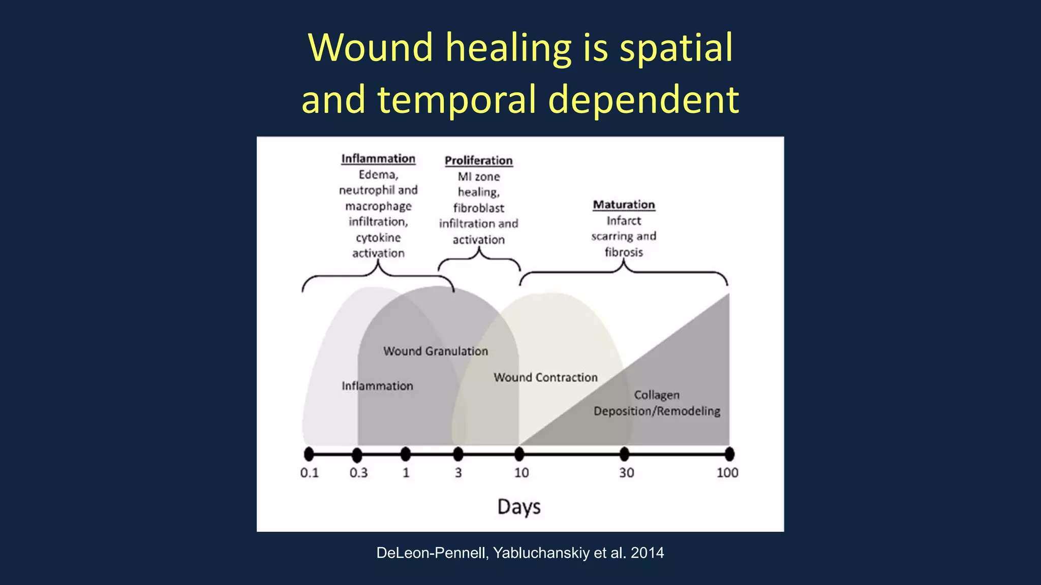 Using EKG to Confirm MI in Mouse Model of Permanent LAD Occlusion | PPTX