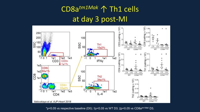Using EKG to Confirm MI in Mouse Model of Permanent LAD Occlusion | PPTX