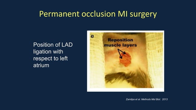 Using EKG to Confirm MI in Mouse Model of Permanent LAD Occlusion | PPTX