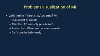 Using EKG to Confirm MI in Mouse Model of Permanent LAD Occlusion | PPTX