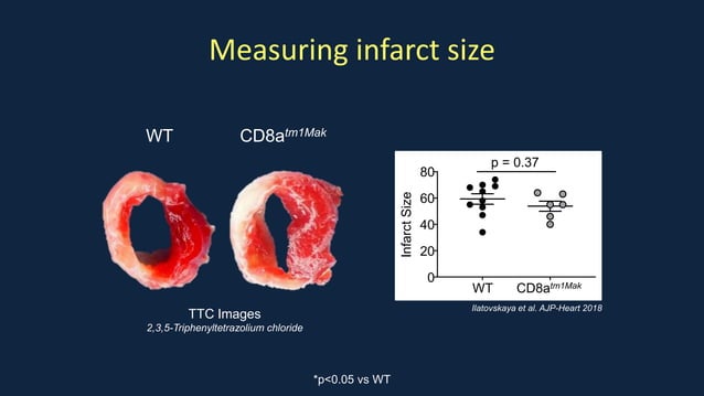 Using EKG to Confirm MI in Mouse Model of Permanent LAD Occlusion | PPTX