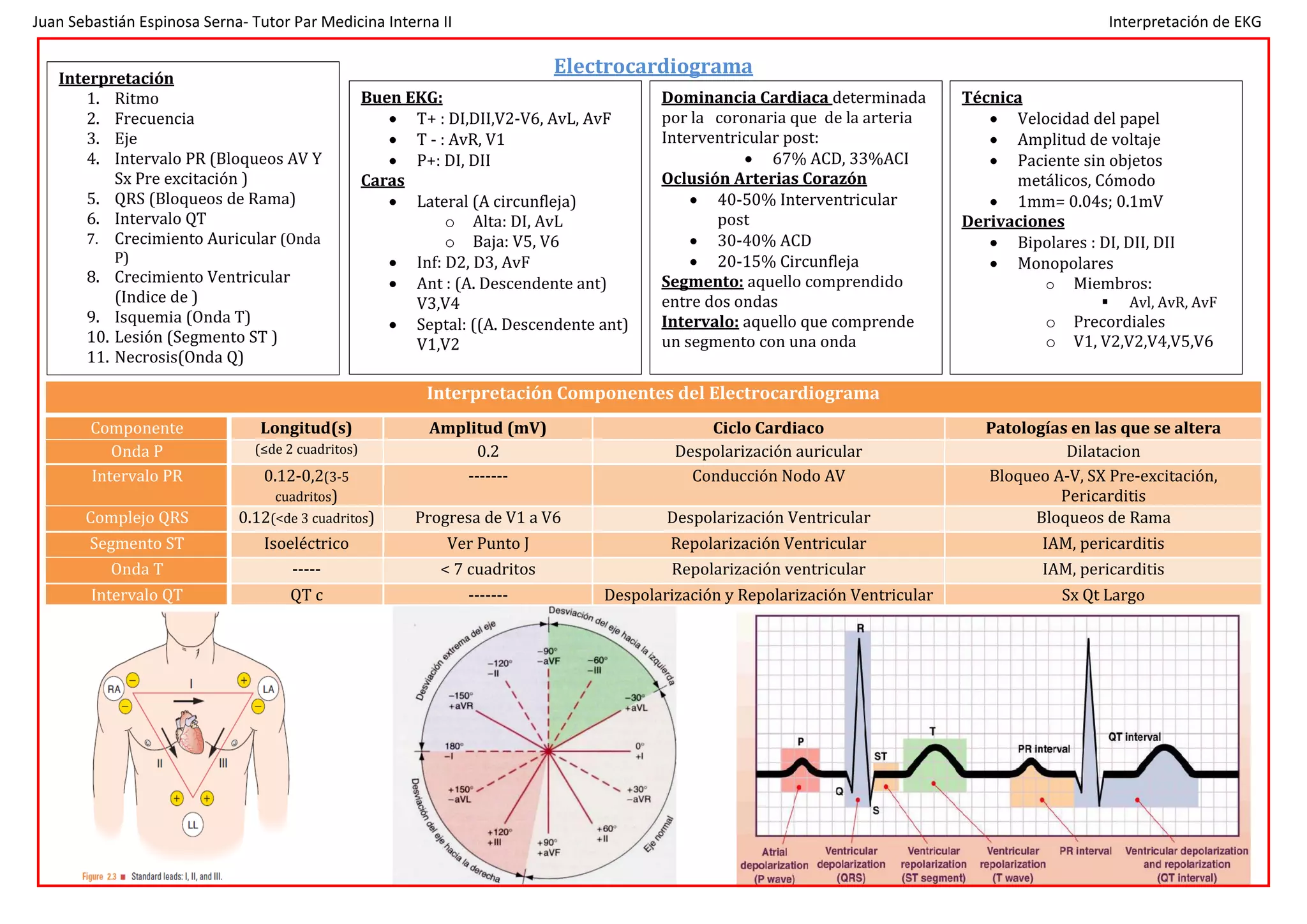 Electrocardiograma Normal