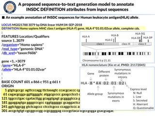 [2020-09-01] IIBMP2020 Generating annotation texts of HLA sequences ...