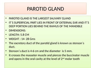 Salivary gland oral pathology development | PPTX