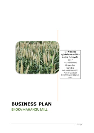 Ekoka mahangu mills business plan | DOCX