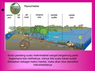 EKOLOGI 2 (konsep relung dan habitat).ppt