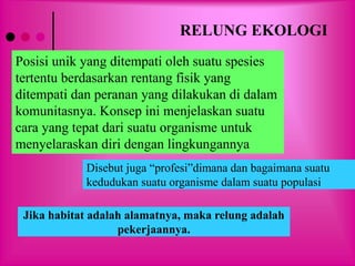 EKOLOGI 2 (konsep relung dan habitat).ppt