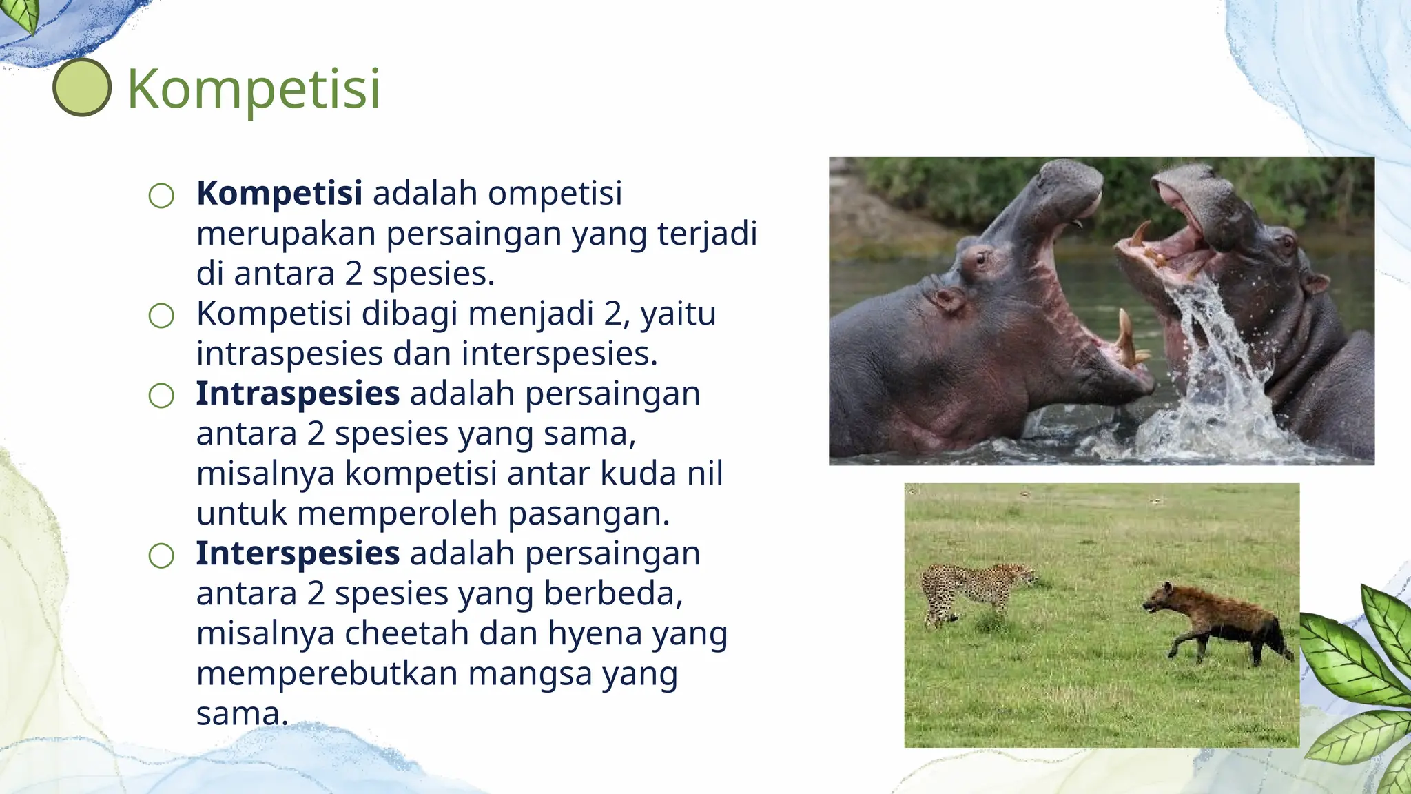 Ekologi dan Keanekaragaman Hayati IPA BIOLOGI | PPTX
