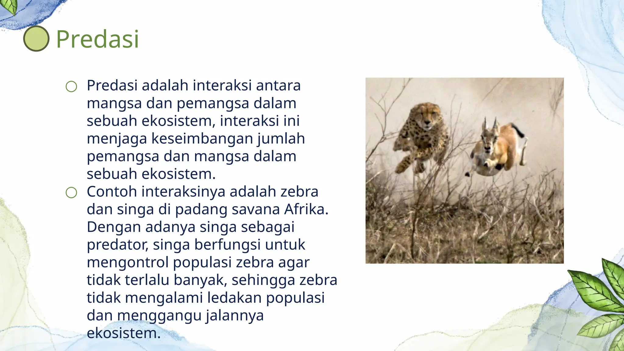 Ekologi dan Keanekaragaman Hayati IPA BIOLOGI | PPTX