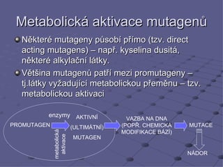 Ekologie a ekogenetika II | PPT