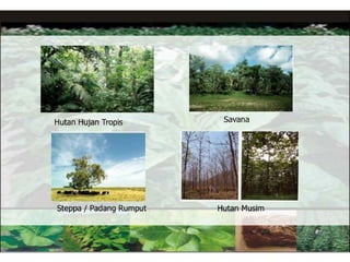 ekologi hutan pendahuluan materi minggu 2.pptx