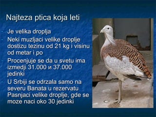 Ekologija i znacaj ptica | PPT