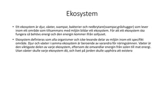 Ekologi Ludvig | PPTX