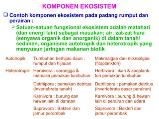 Ekologi perairan 2007 2008 - 2 ekosistem | PPT