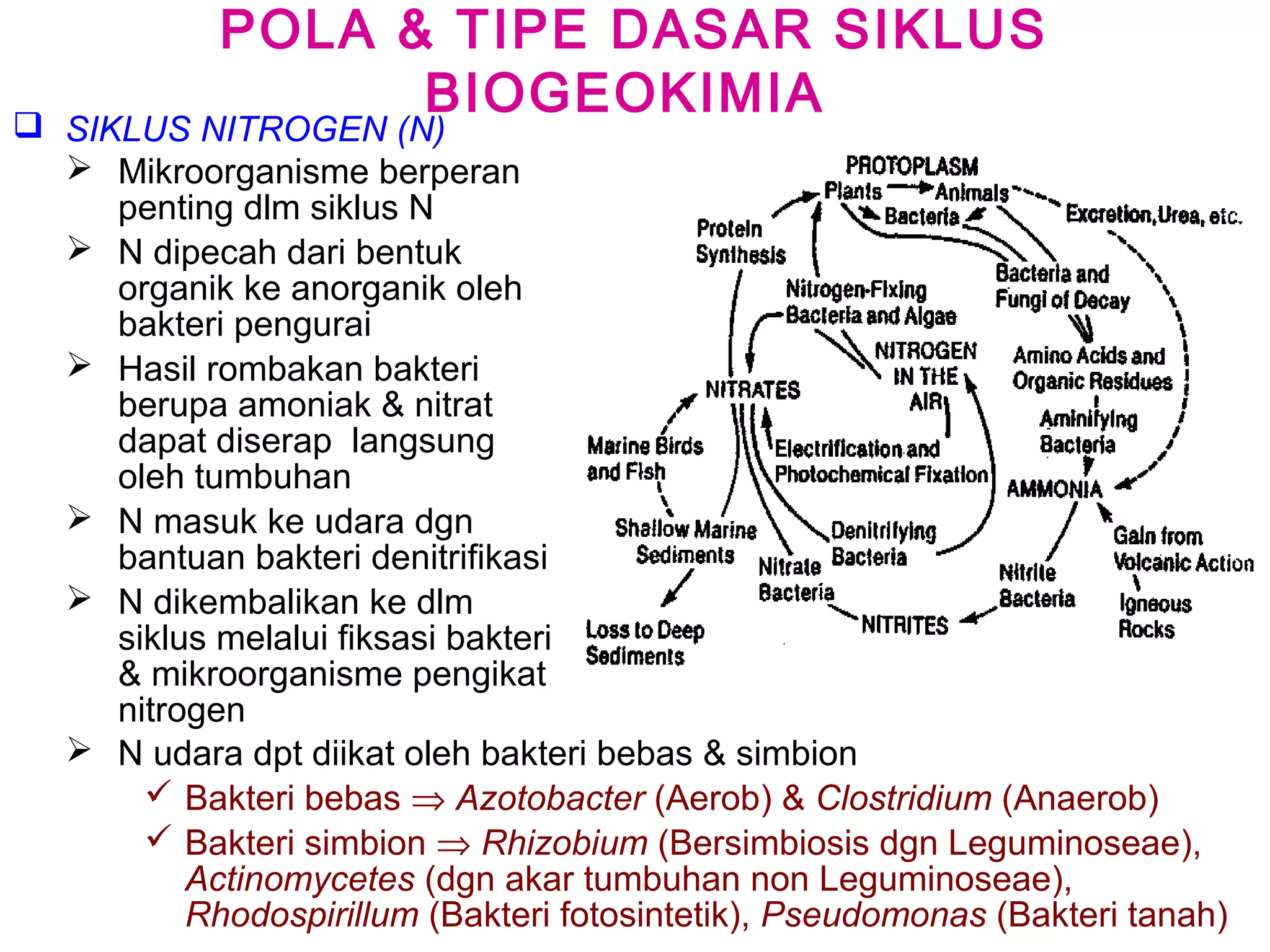 Ekologi perairan 2007 2008 - 4 siklus biogeokimia - revisi | PPT