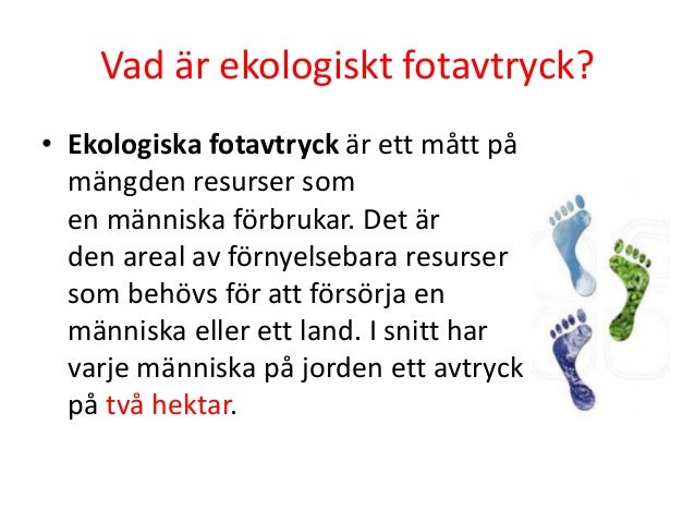 Ekologiska fotavtryck