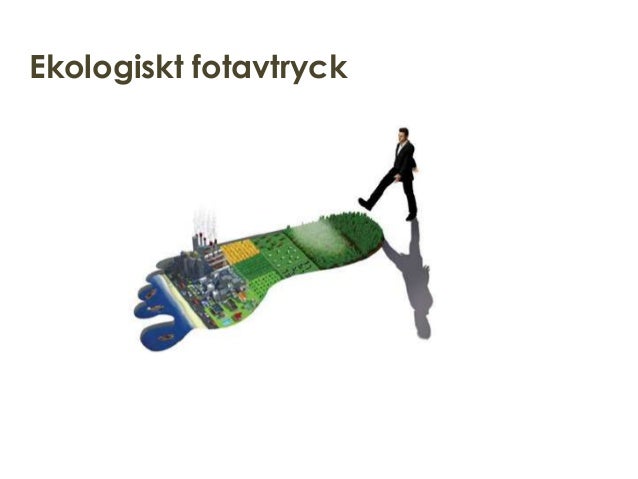 Ekologiskt fotavtryck
