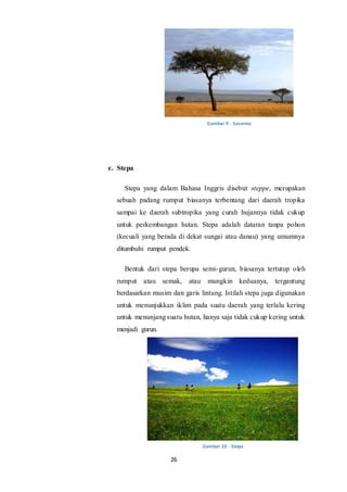 Ekologi Lingkungan | PDF