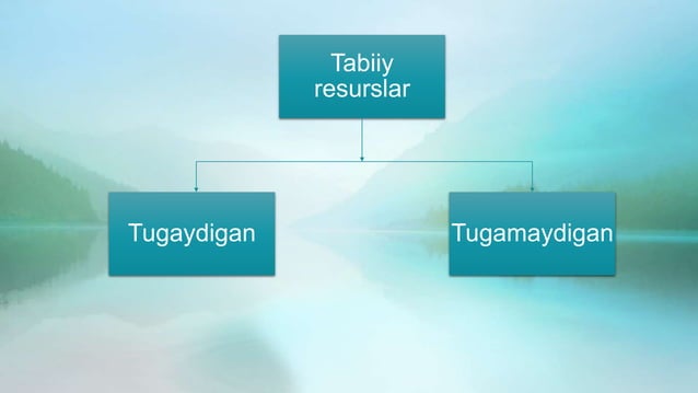 Ekologiya Tabiiy resurslar.pptx