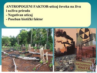 Ekološki faktori | PPT