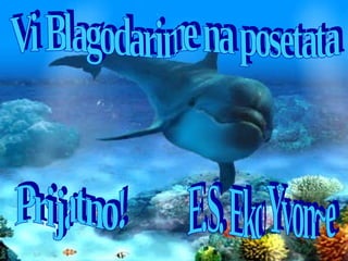 Ekoloska sekcija | PPT