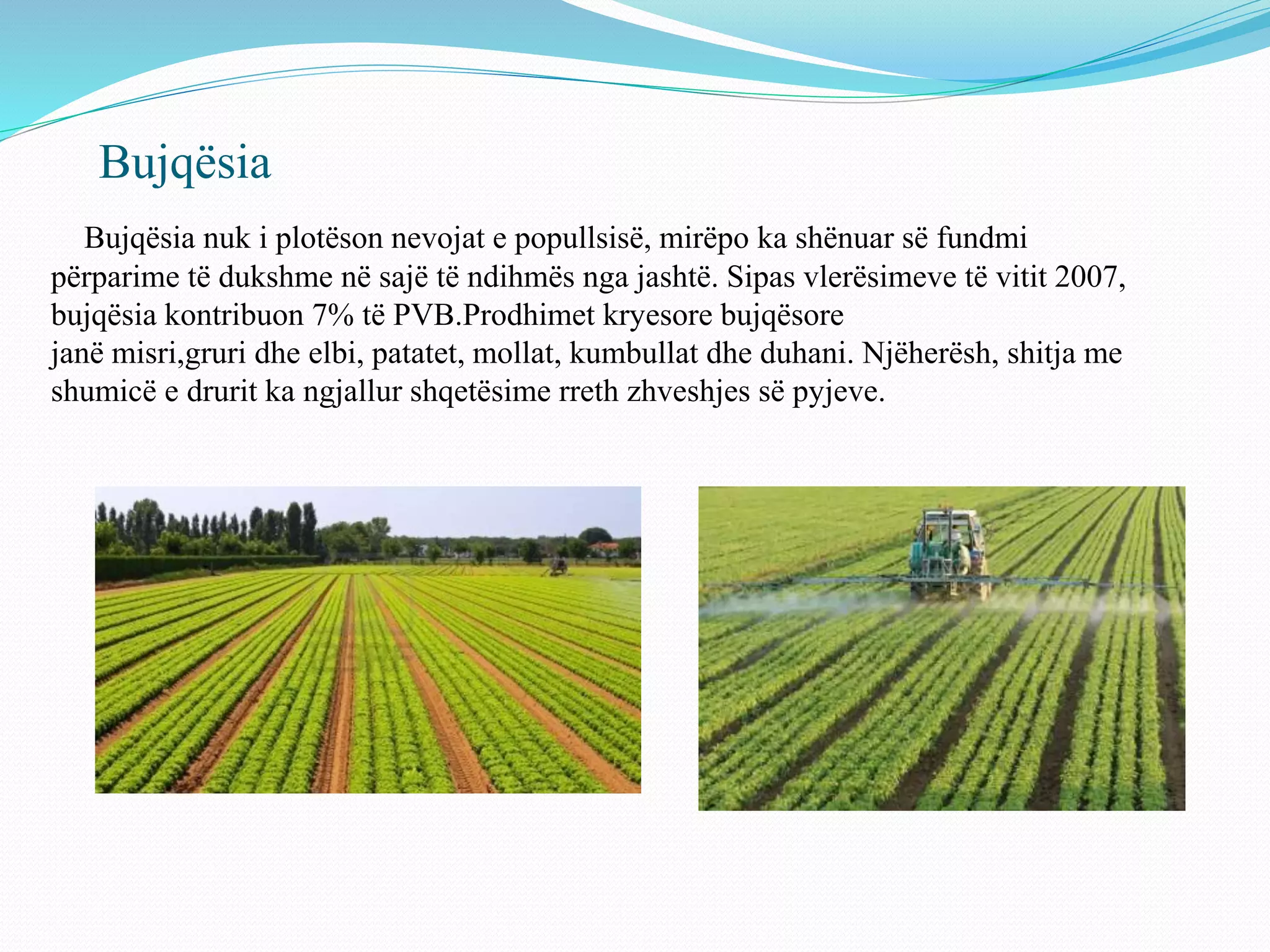 Vecorite ekonomike te Kosoves | PPT