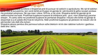 economy in albanian | PPTX