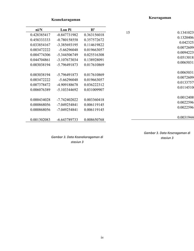 laporan praktikum Ekologi perairan di danau | DOCX