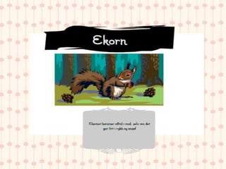Ekorn | PPTX