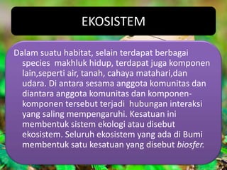 Ekosistem | PPT