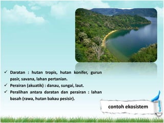 Ekosistem | PPTX