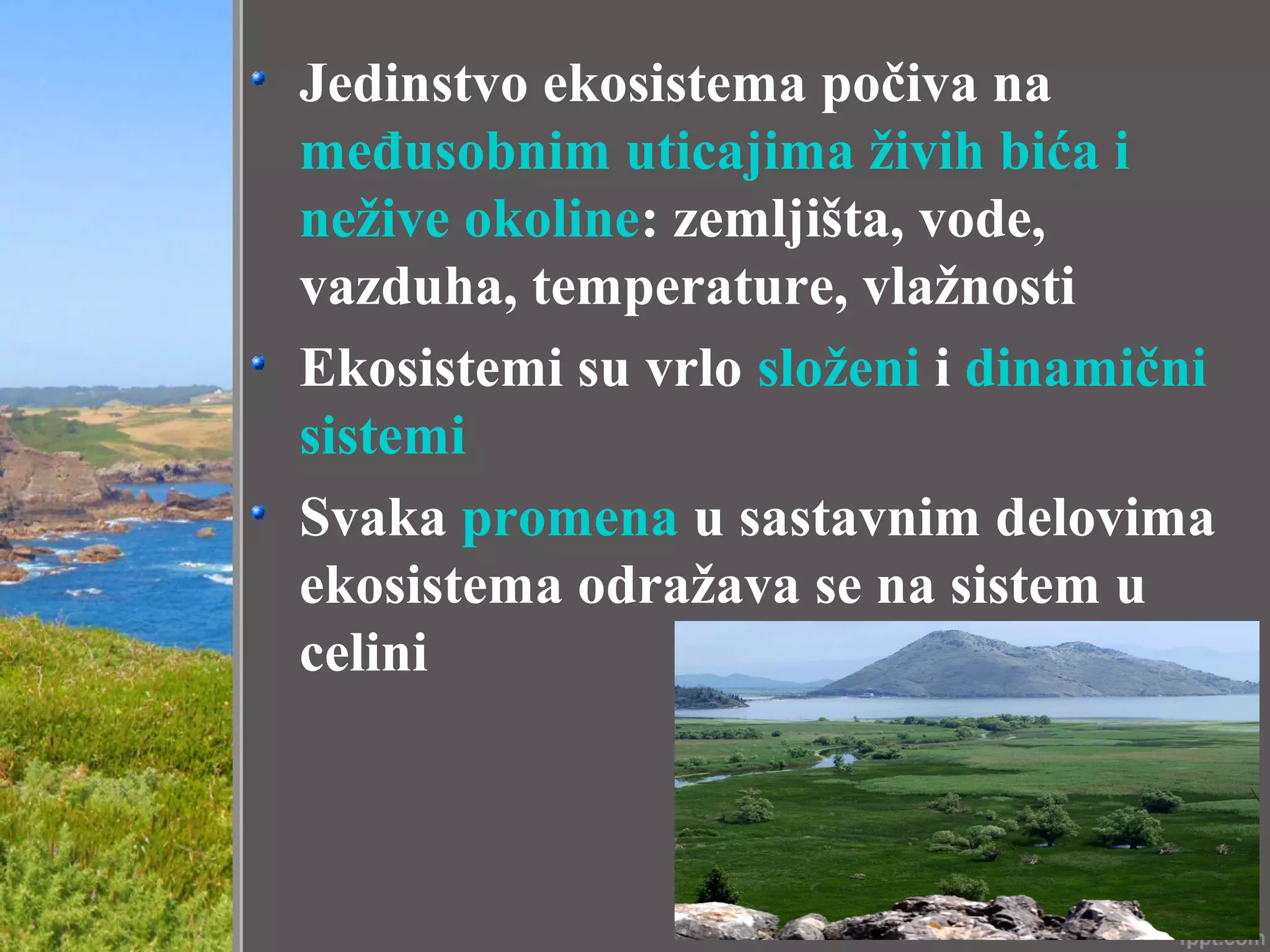 Ekosistem | PPT