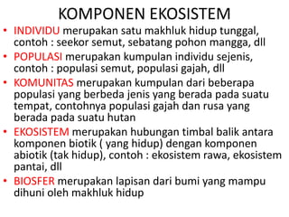 Komponen penyusun ekosistem terdiri dari individu, populasi, komunitas ...