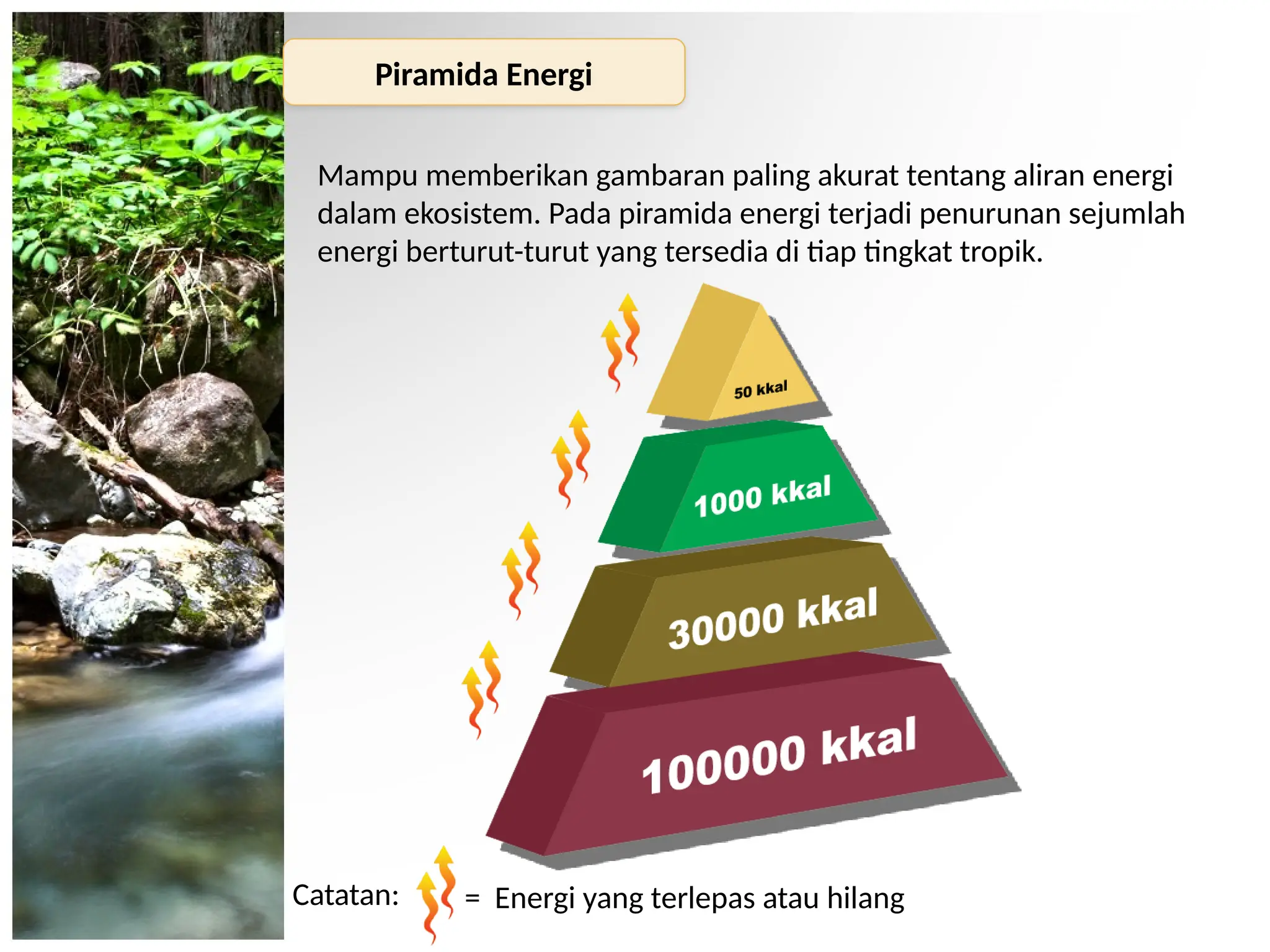Materi kelas X_Biologi Lingkungan_Ekosistem.pptx