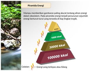 Materi kelas X_Biologi Lingkungan_Ekosistem.pptx