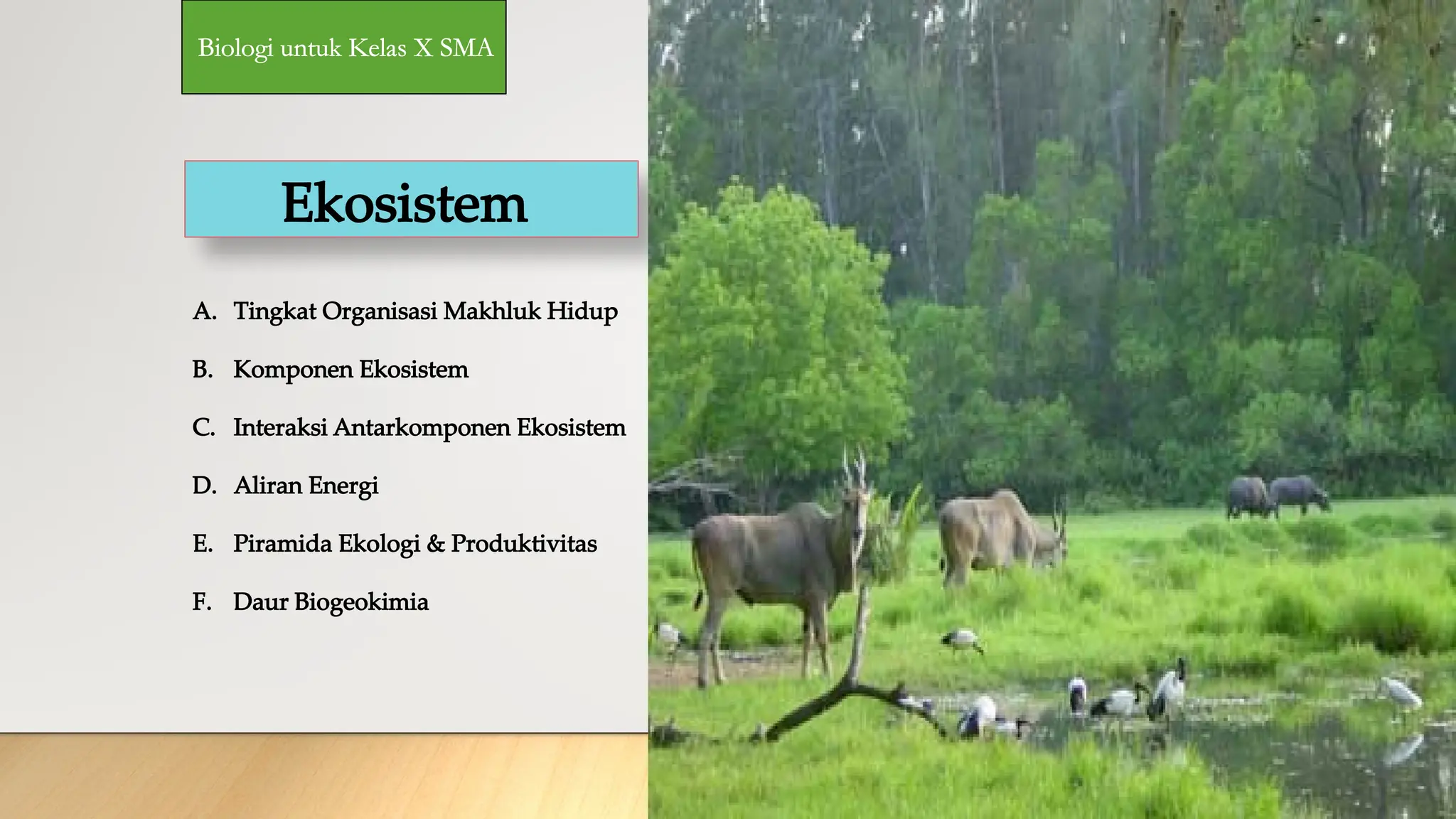 ekosistem siklus dan komponen serta interaksi | PPT