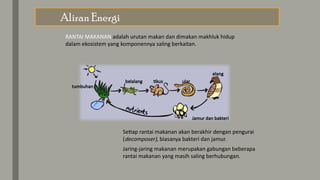 Ekosistem Siklus Dan Komponen Serta Interaksi Pptx